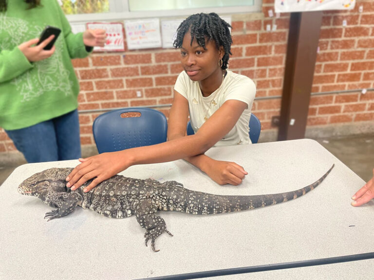 Arc Experience – SoCal After School, Adventure, and Enrichment Programs ...