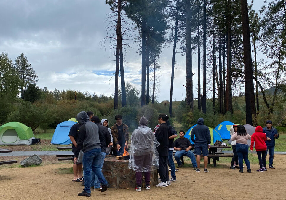 Year in Review 2025 – Arc Experience